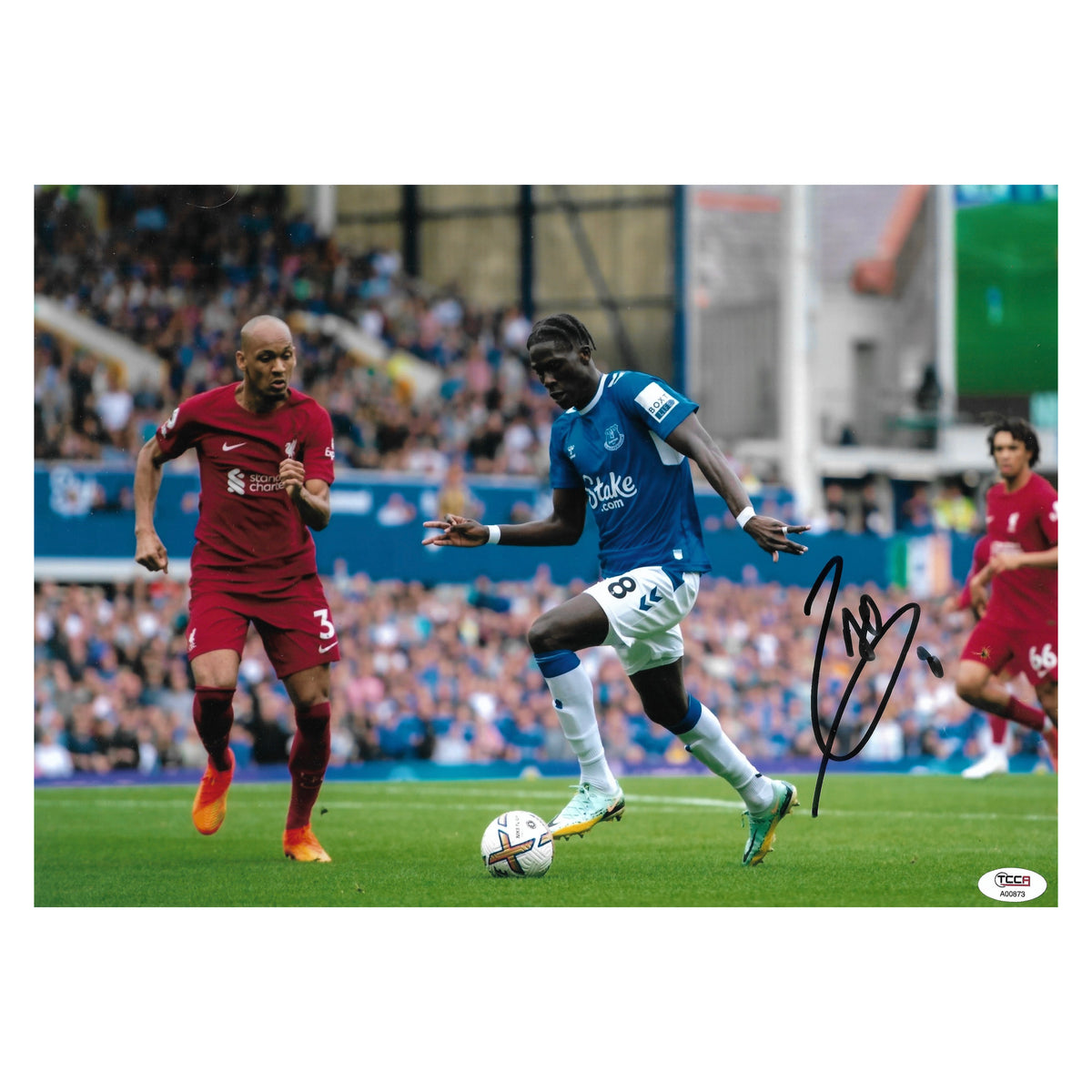 A00873 – TCCAuthentication