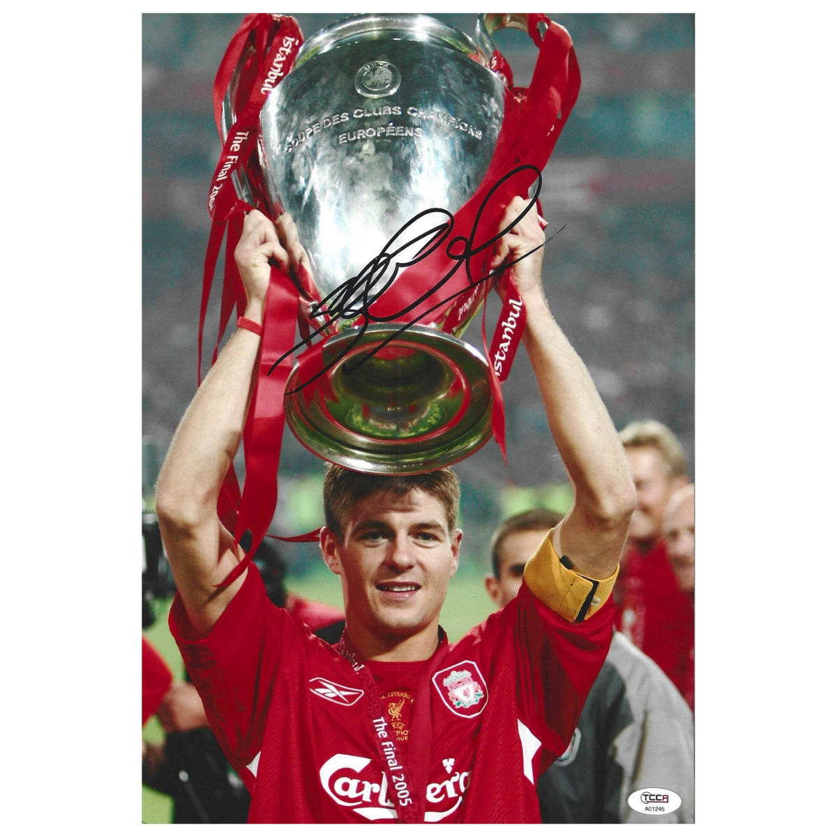 A01245 – TCCAuthentication