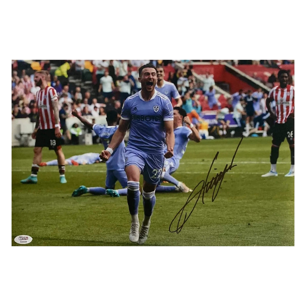 A00029 – TCCAuthentication