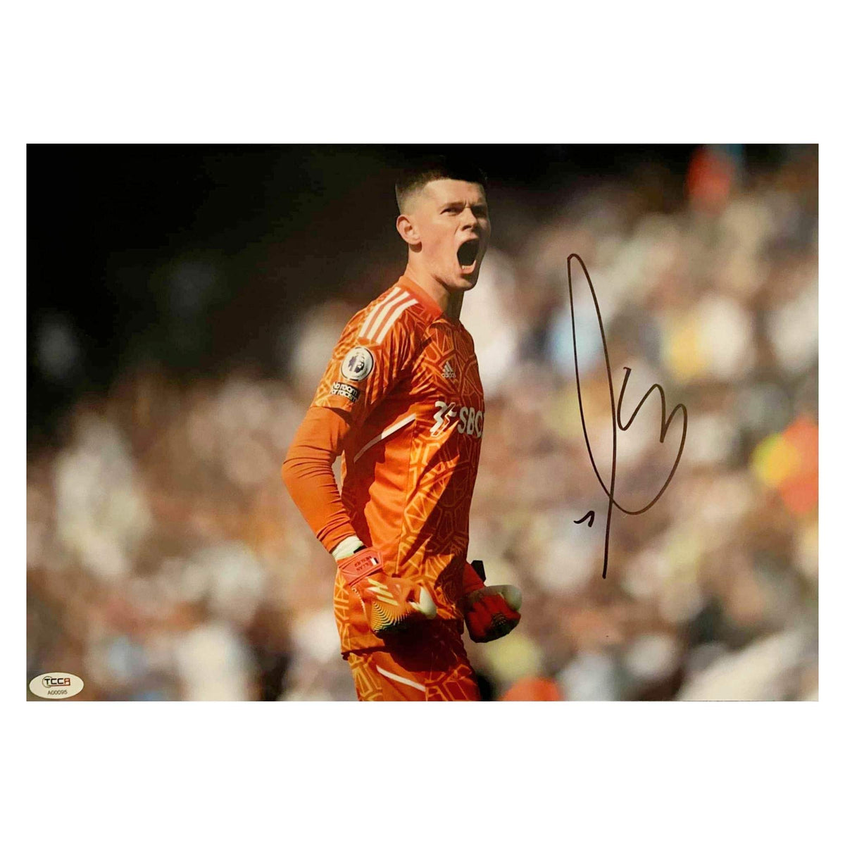 A00095 – TCCAuthentication